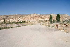 Complete Guide to Rose Valley Cappadocia - The Turkey Traveler