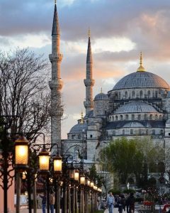 Home - The Turkey Traveler