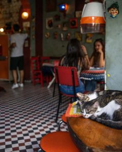 Discover Balat In Istanbul: Things To Do + FAQs Answered - The Turkey ...