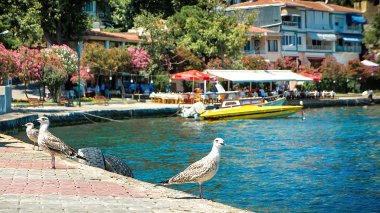 10 Most Beautiful Turkish Islands to Visit - The Turkey Traveler