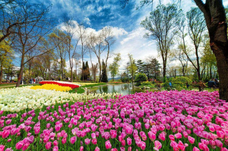 Guide to Visiting The Istanbul Tulip Festival - The Turkey Traveler